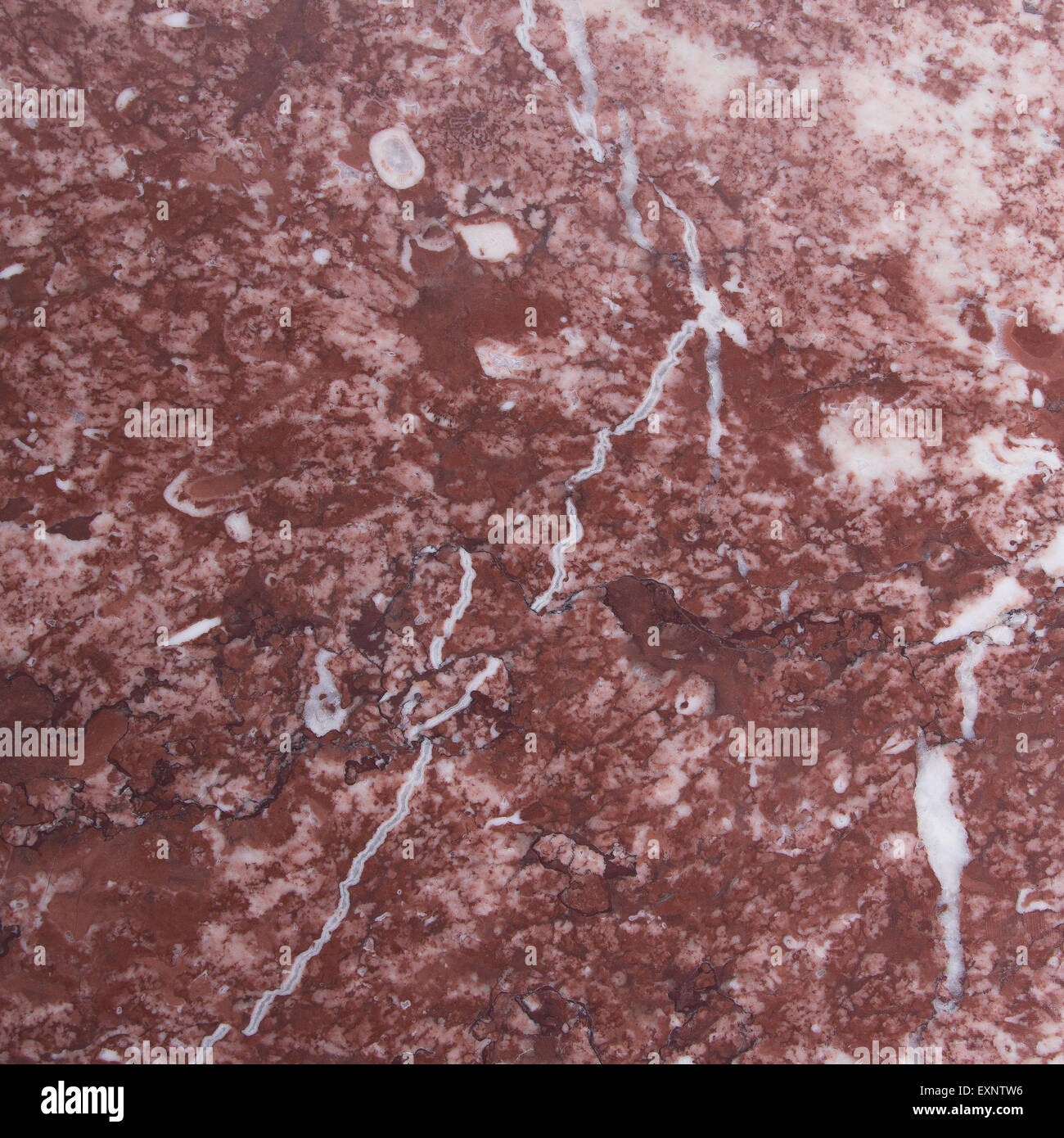 Red of Agadir Moroccan Marble (Rouge d'agadir Stock Photo - Alamy