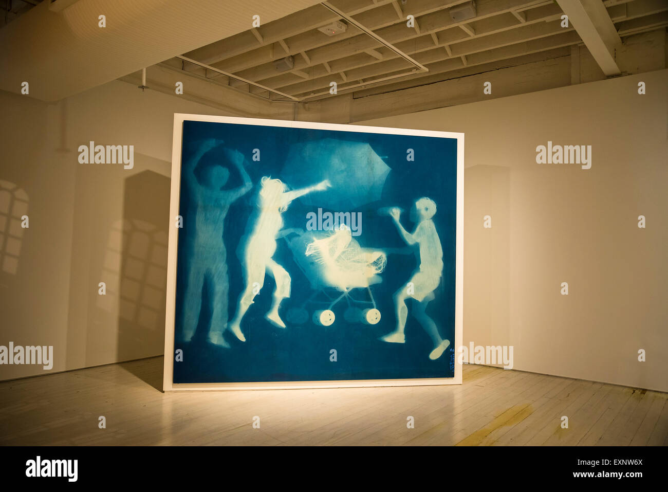 Sydney white rabbit hi-res stock photography and images - Alamy