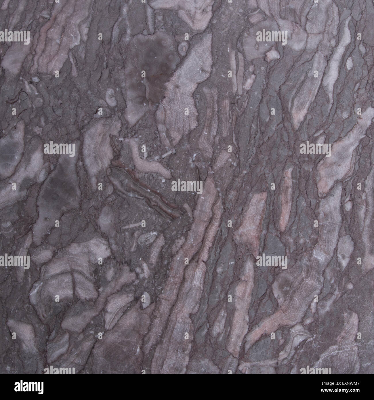 Purple marble hi-res stock photography and images - Alamy