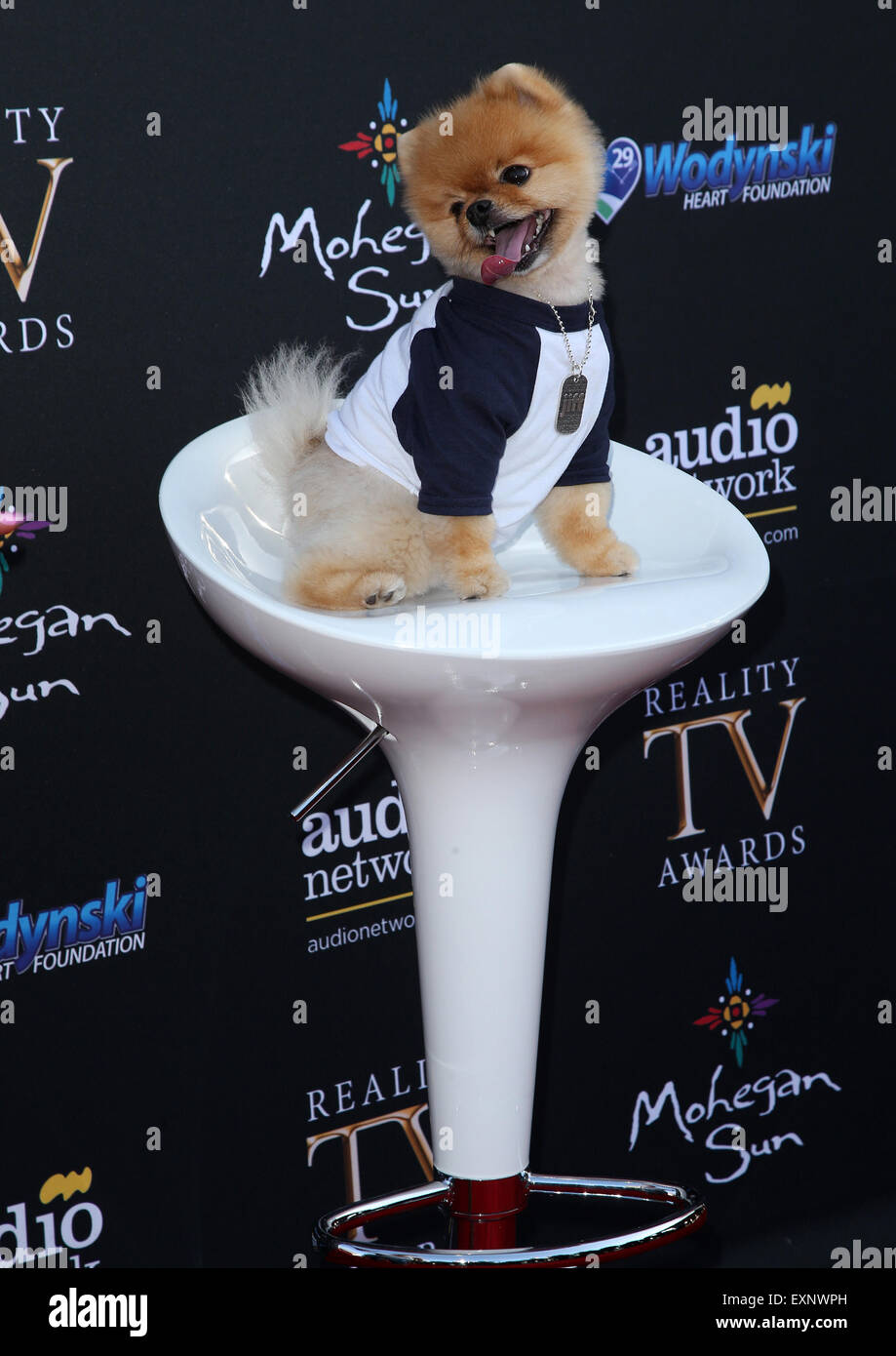 3rd Annual Reality TV Awards Featuring: Jiff Pom Where: Hollywood ...