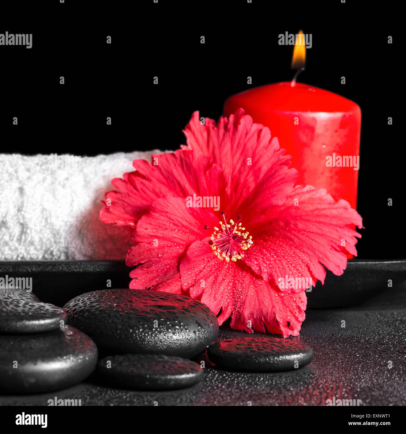 beautiful spa concept of hibiscus flower with dew, red candles and ...