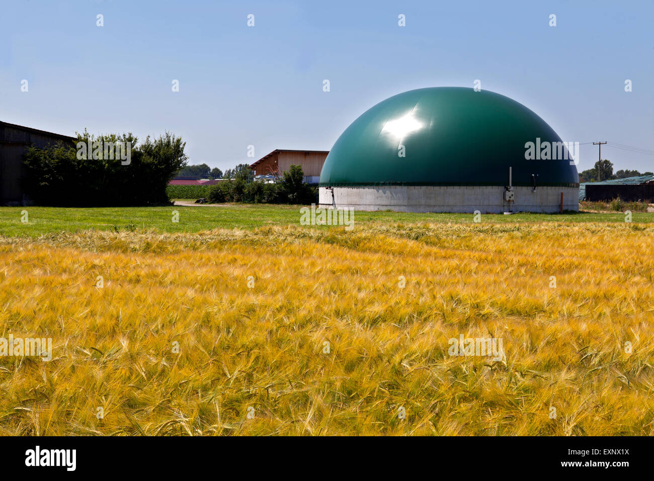 Maize field biogas plant hi-res stock photography and images - Alamy
