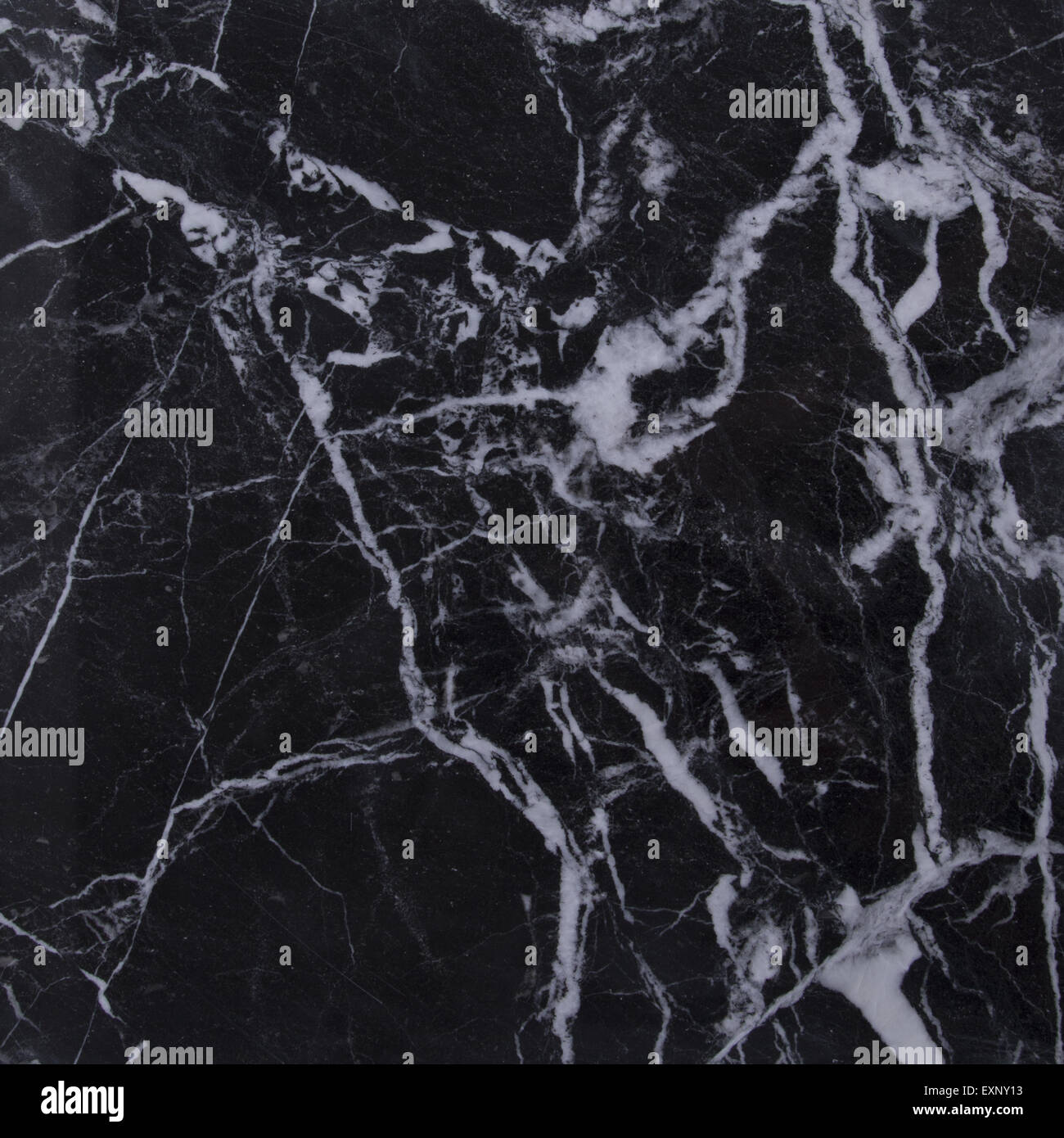 Black of Khenifra Moroccan Marble (noir de Khenifra Stock Photo - Alamy