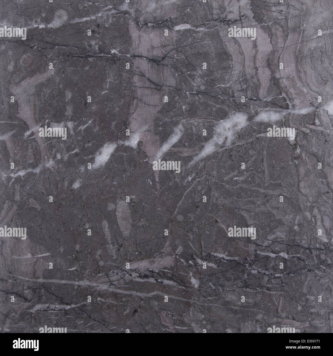Grey Moroccan Marble (Gris du Maroc Stock Photo - Alamy