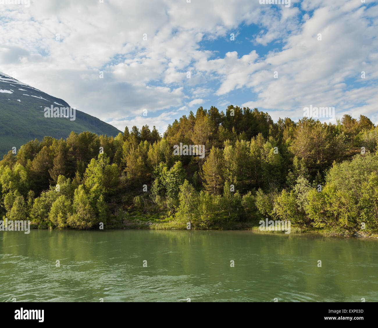 Mountains and the forest of Norway under the blue sky Stock Photo - Alamy