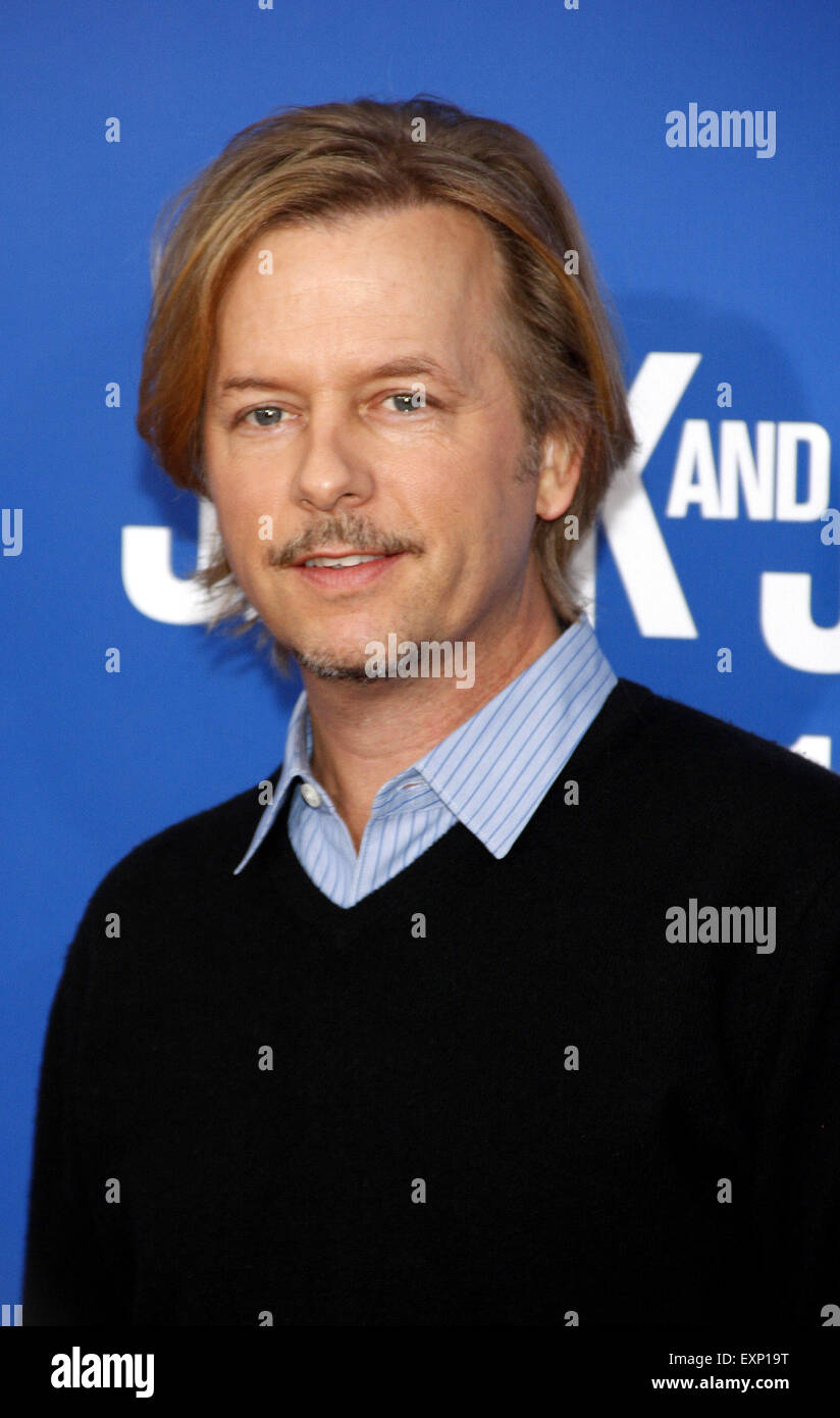 David Spade at the Los Angeles premiere of 'Jack And Jill' held at the ...
