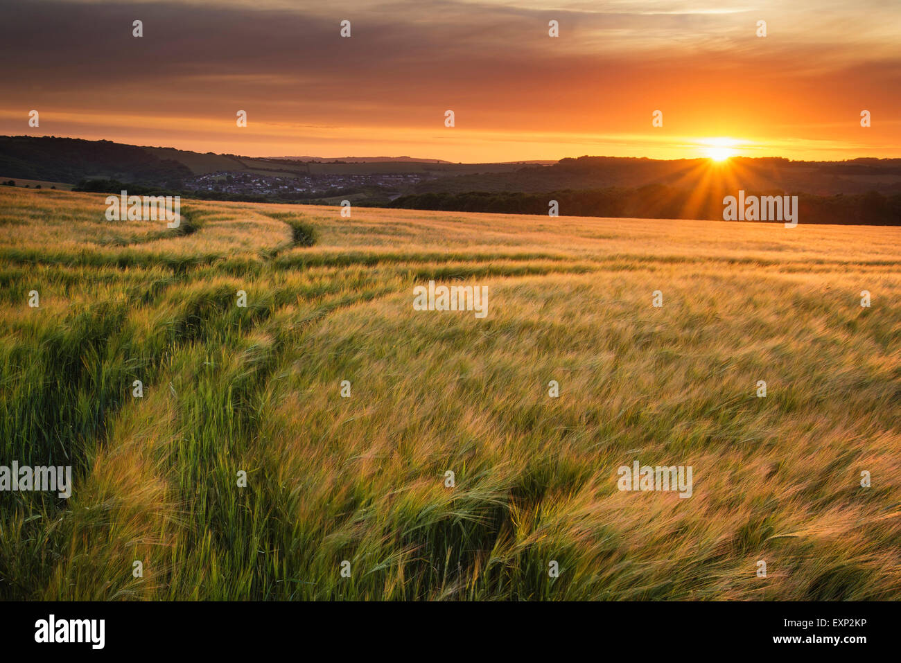 Beautiful Summer sunset landscape over agricultural crop fields Stock ...