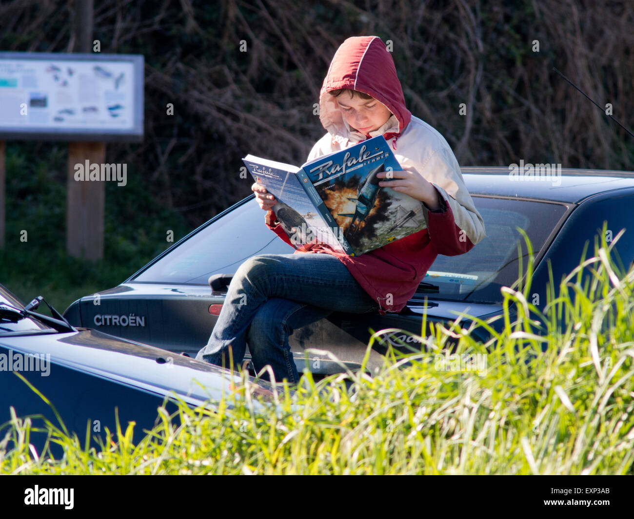Young aspiring boy reading a book about fighter pilots Stock Photo - Alamy