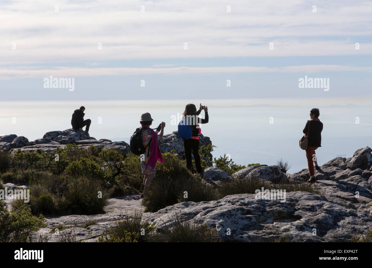 The top of Table Mountain , Cape Town Stock Photo - Alamy