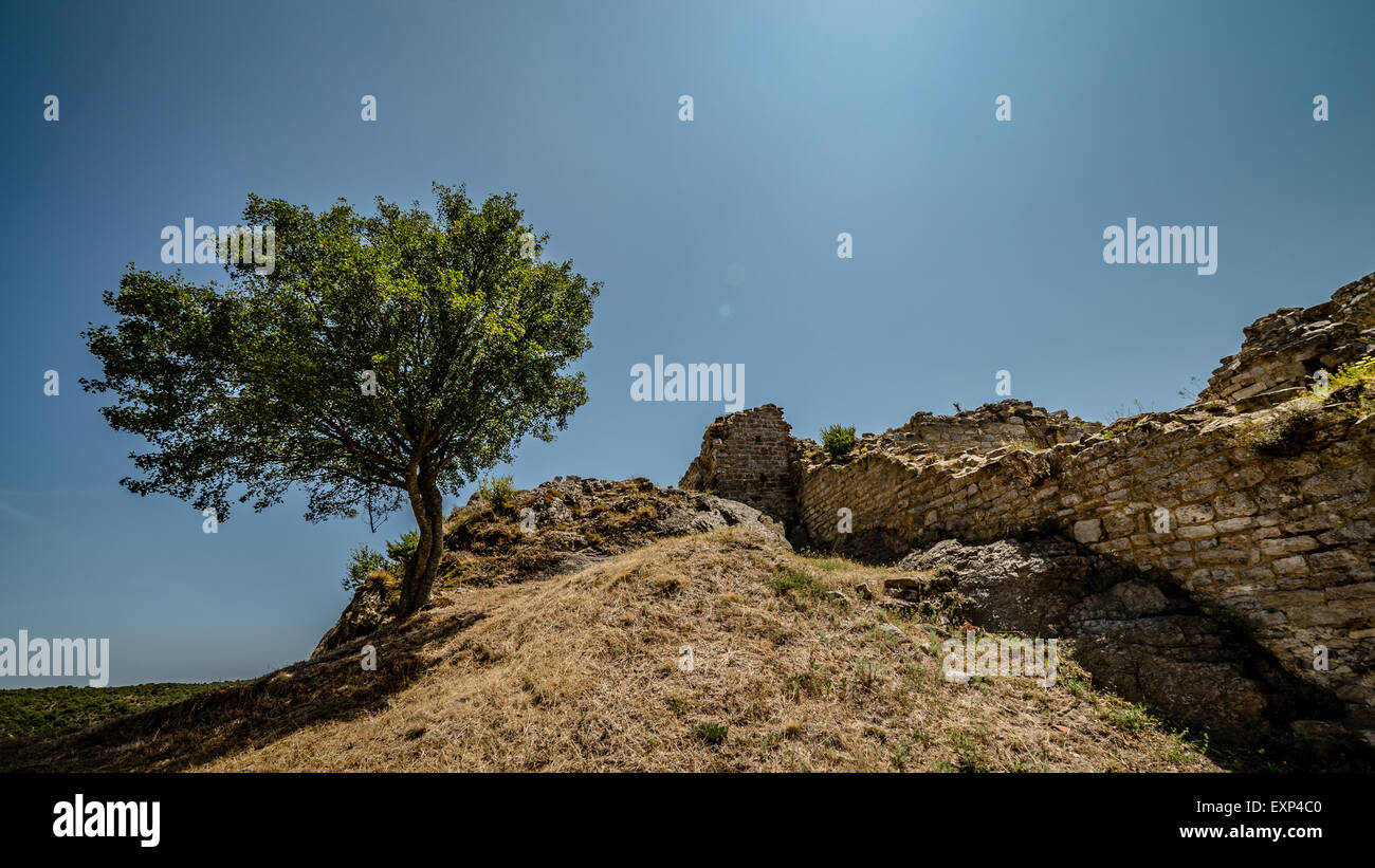 A tree inside castle of Termes ruins Stock Photo - Alamy
