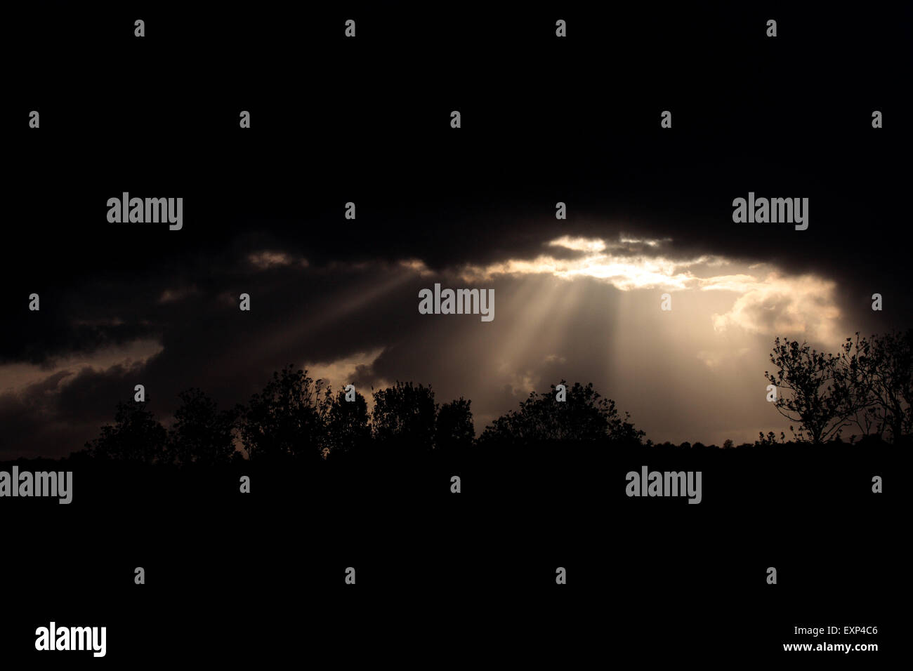 Sunshine sunlight sun light sun rays sunrays hi-res stock photography ...