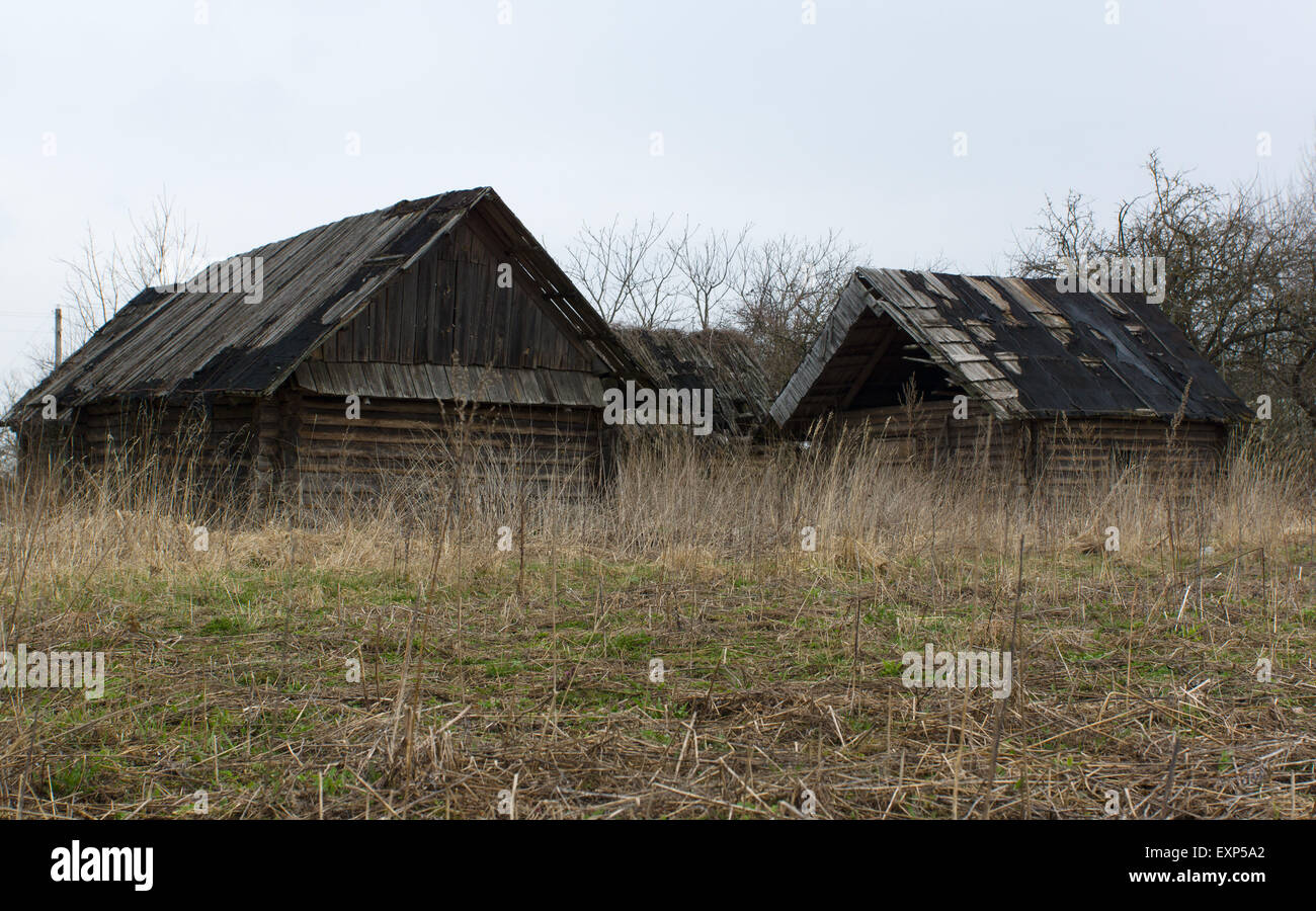 the old overgrown house constructed of logs in the lonely village Stock ...