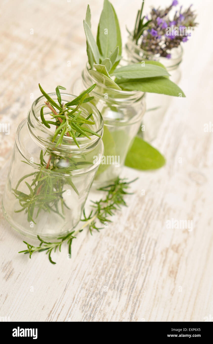 Three herbs in glasses on a rustic wooden table Stock Photo - Alamy