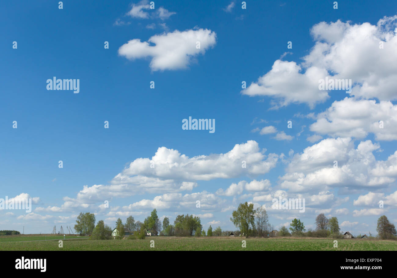 beautiful rural landscape with green vegetation and the bright sky ...