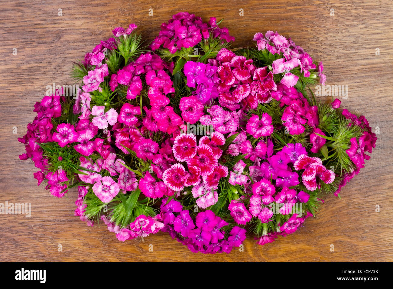 Diamond buttonhole of a gentle pink carnation on the ancient polished ...