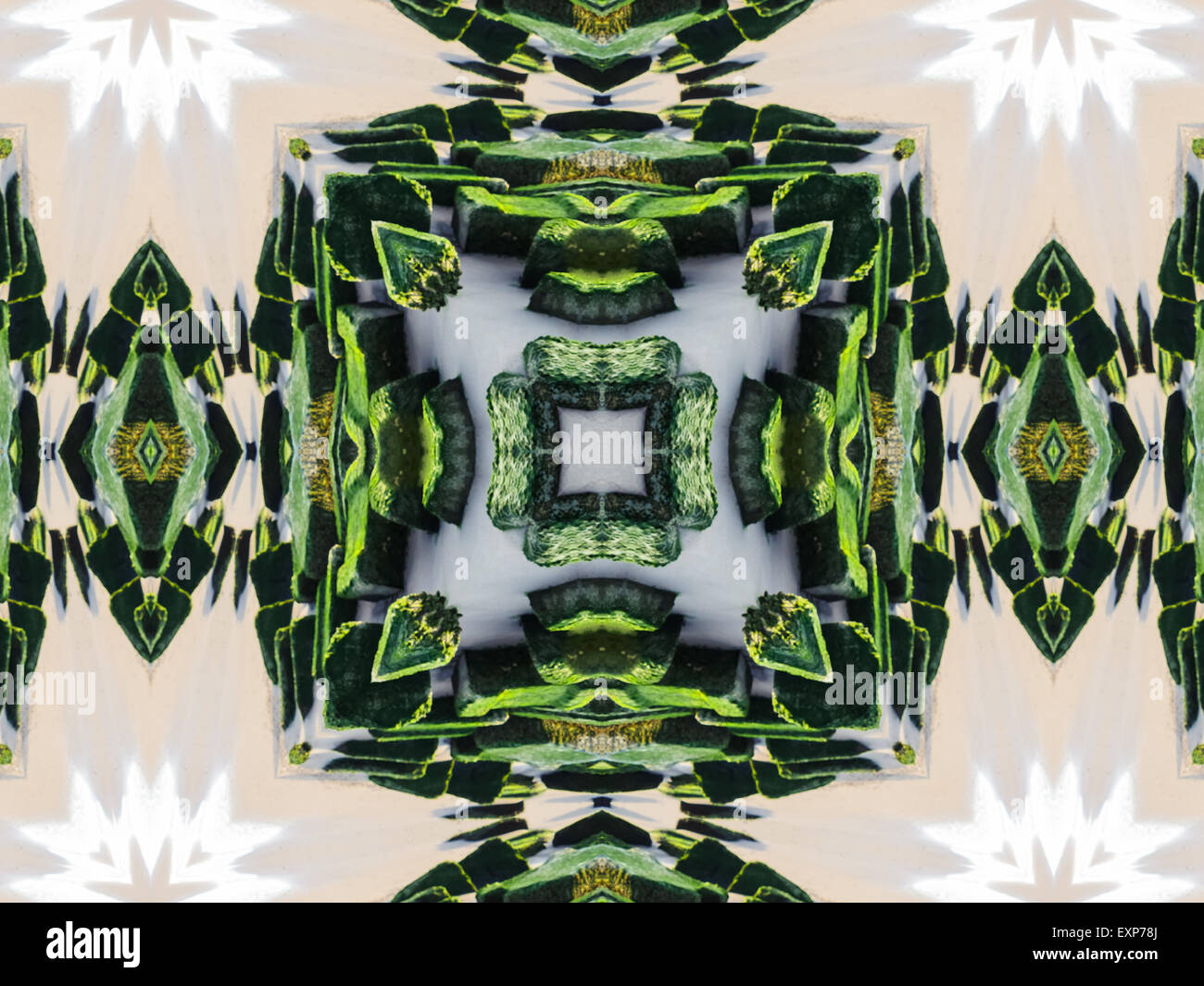 Green Ethnic pattern. Abstract kaleidoscope fabric design Stock Photo ...