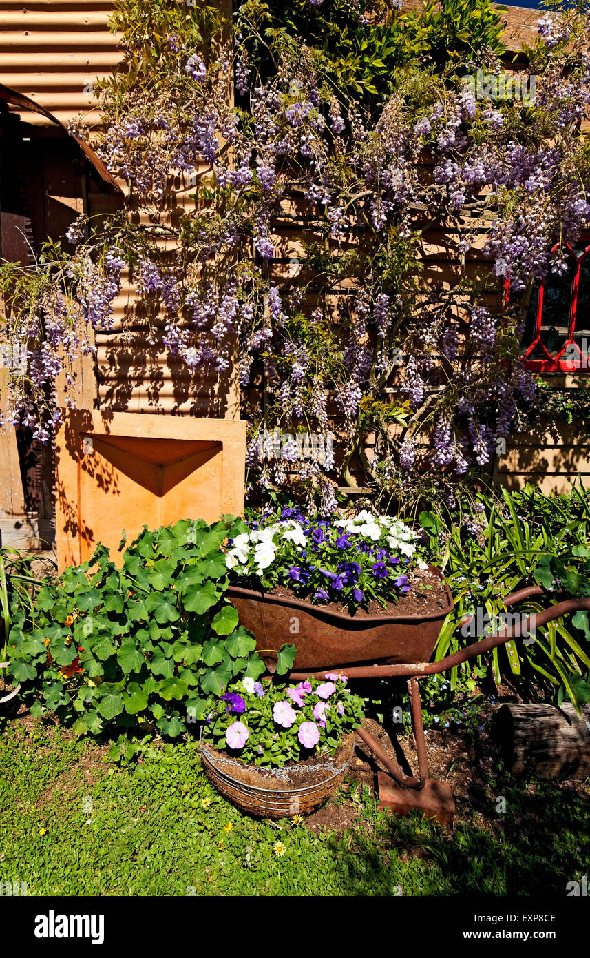 Ballarat District Australia / Ballarat Gardens in Spring 2014 Stock ...