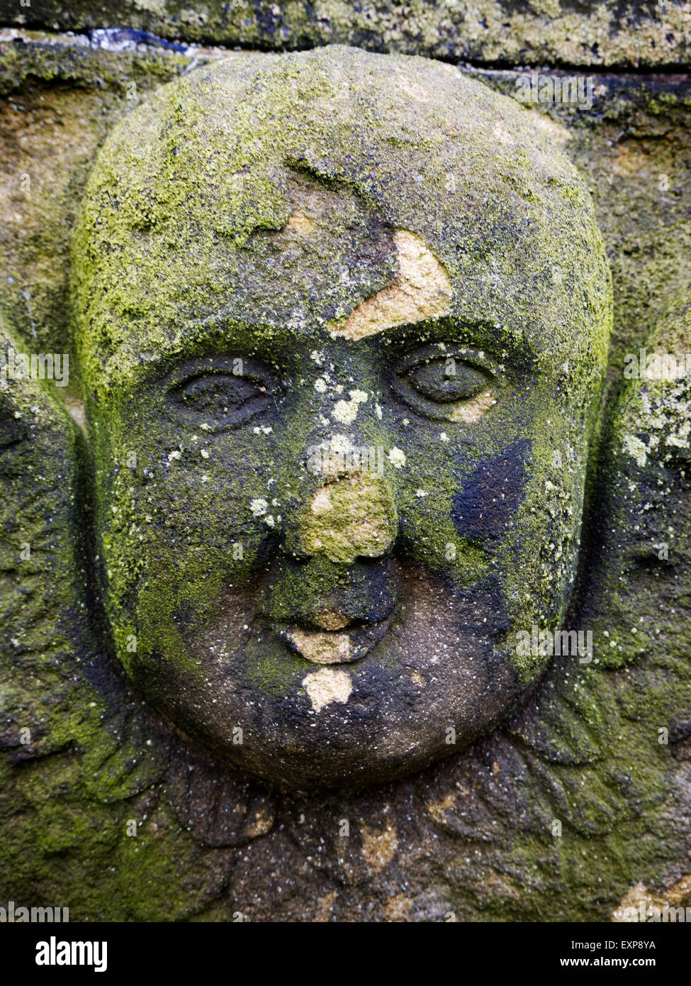 Weathered face hi-res stock photography and images - Alamy