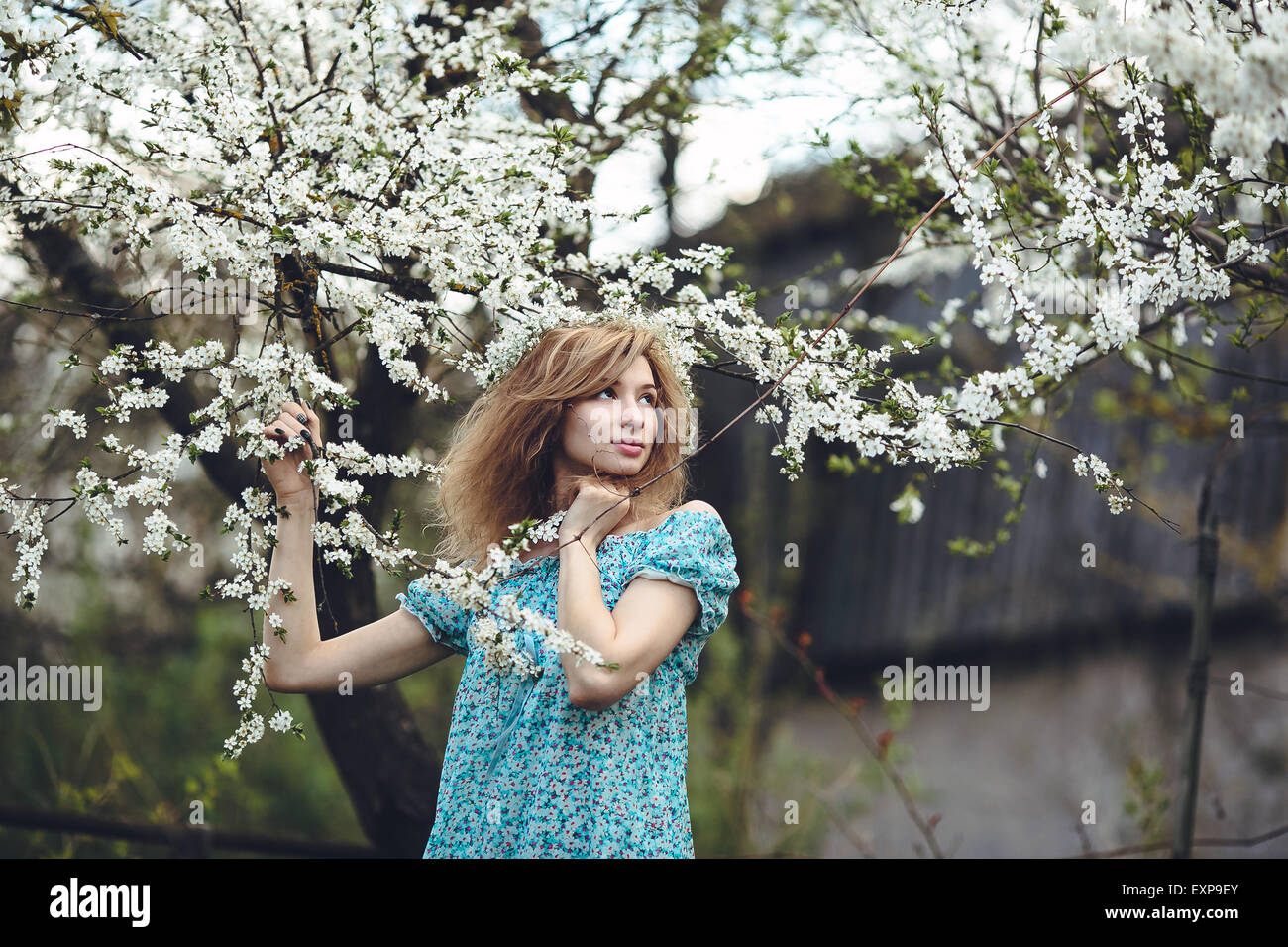 Portrait of a beautiful girl flowering trees Stock Photo - Alamy