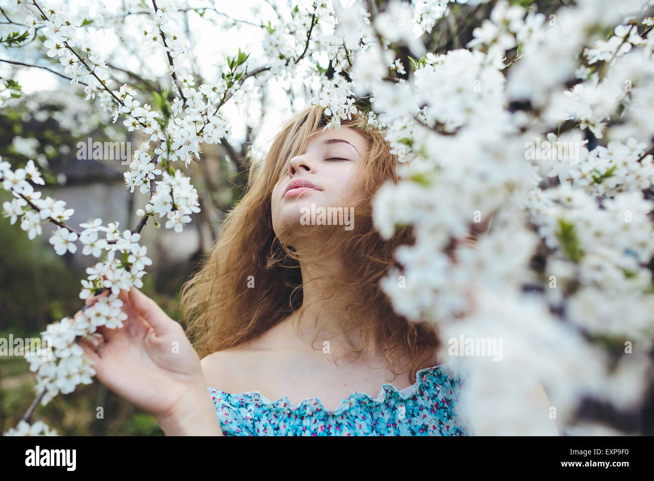 Portrait of a beautiful girl flowering trees Stock Photo - Alamy
