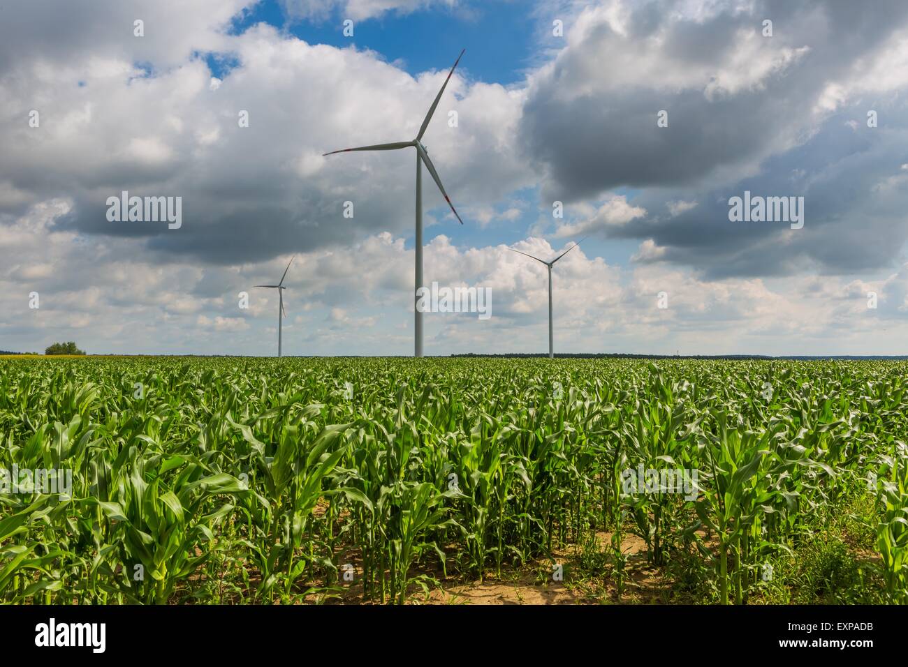 Beautiful landscape field windmills hi-res stock photography and images ...