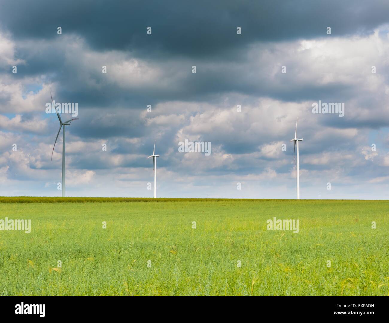 Windmills standing on corn field. Beautiful rural landscape with ...