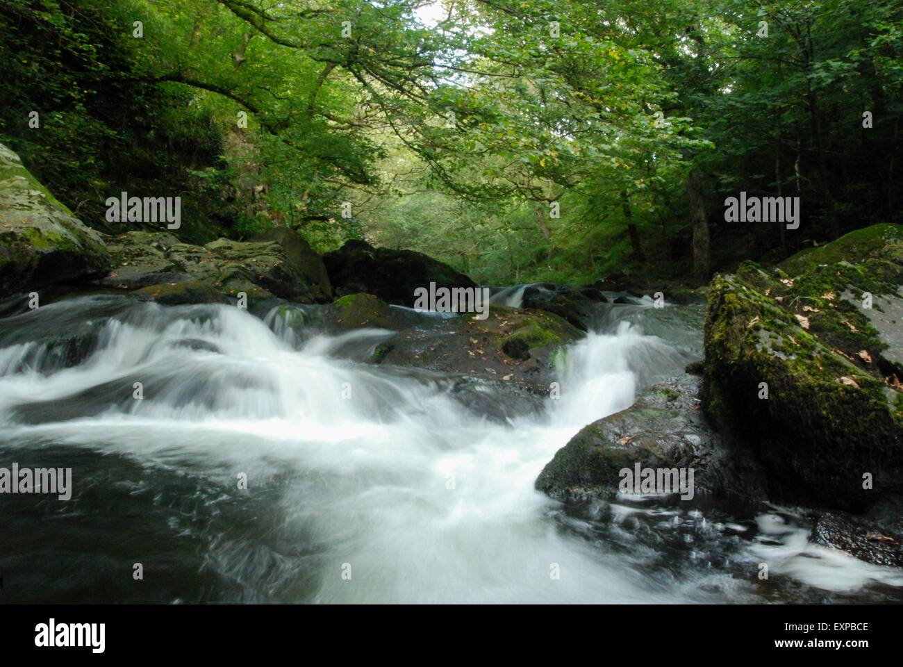 Devon waterfall hi-res stock photography and images - Alamy