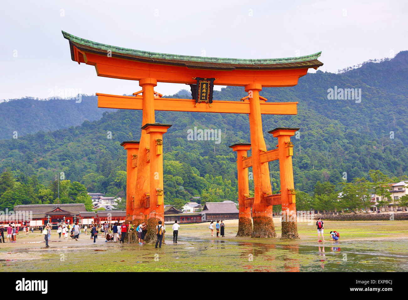 The great red Torii Gate at low tide at Itsukushima Shinto Shrine on ...