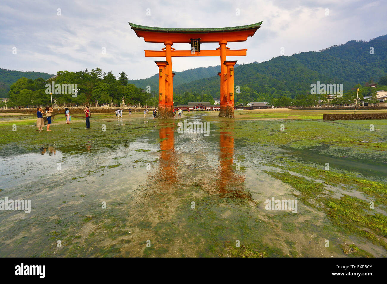 The great red Torii Gate at low tide at Itsukushima Shinto Shrine on ...