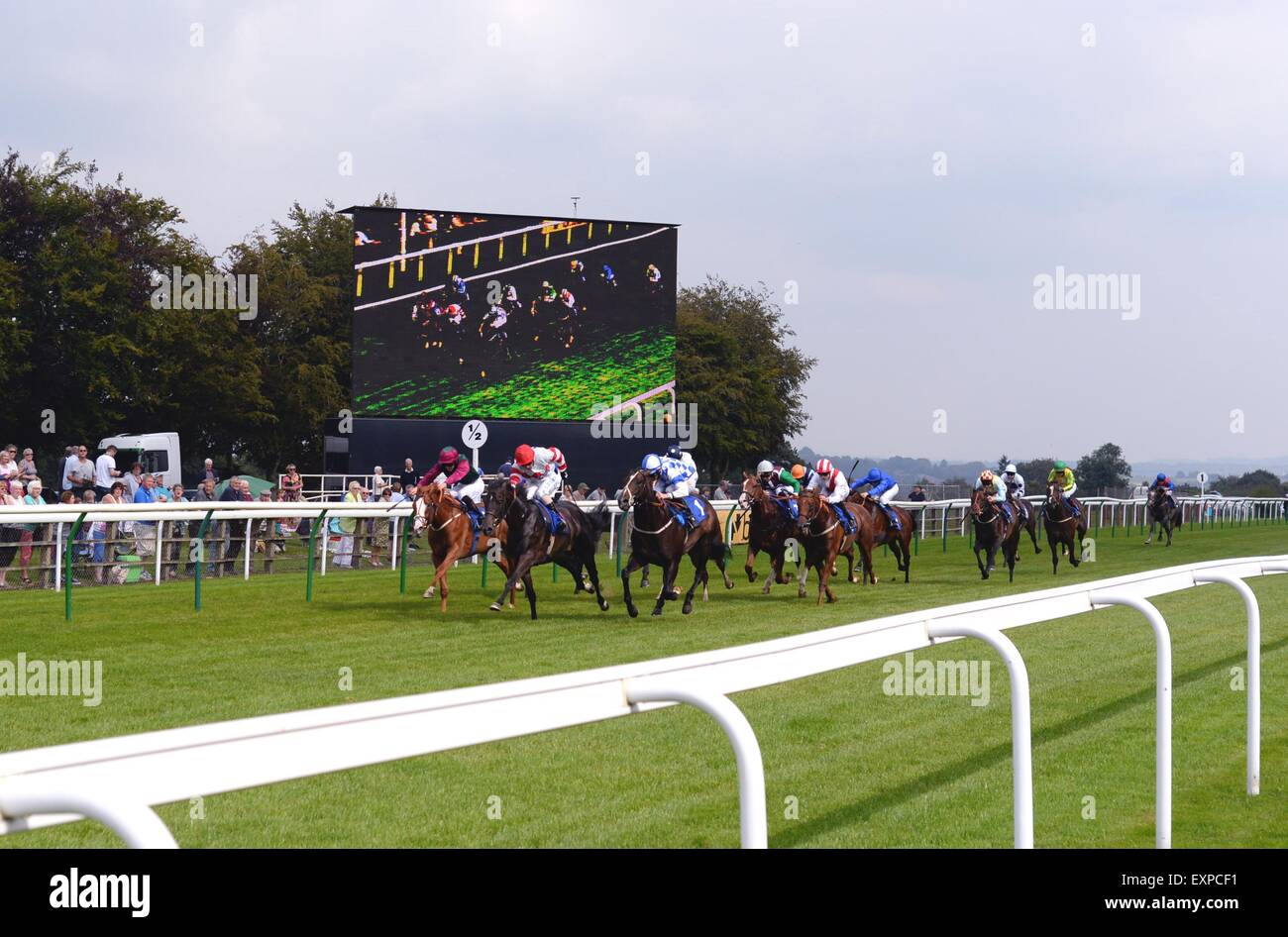 Horse racing salisbury racecourse hi-res stock photography and images ...