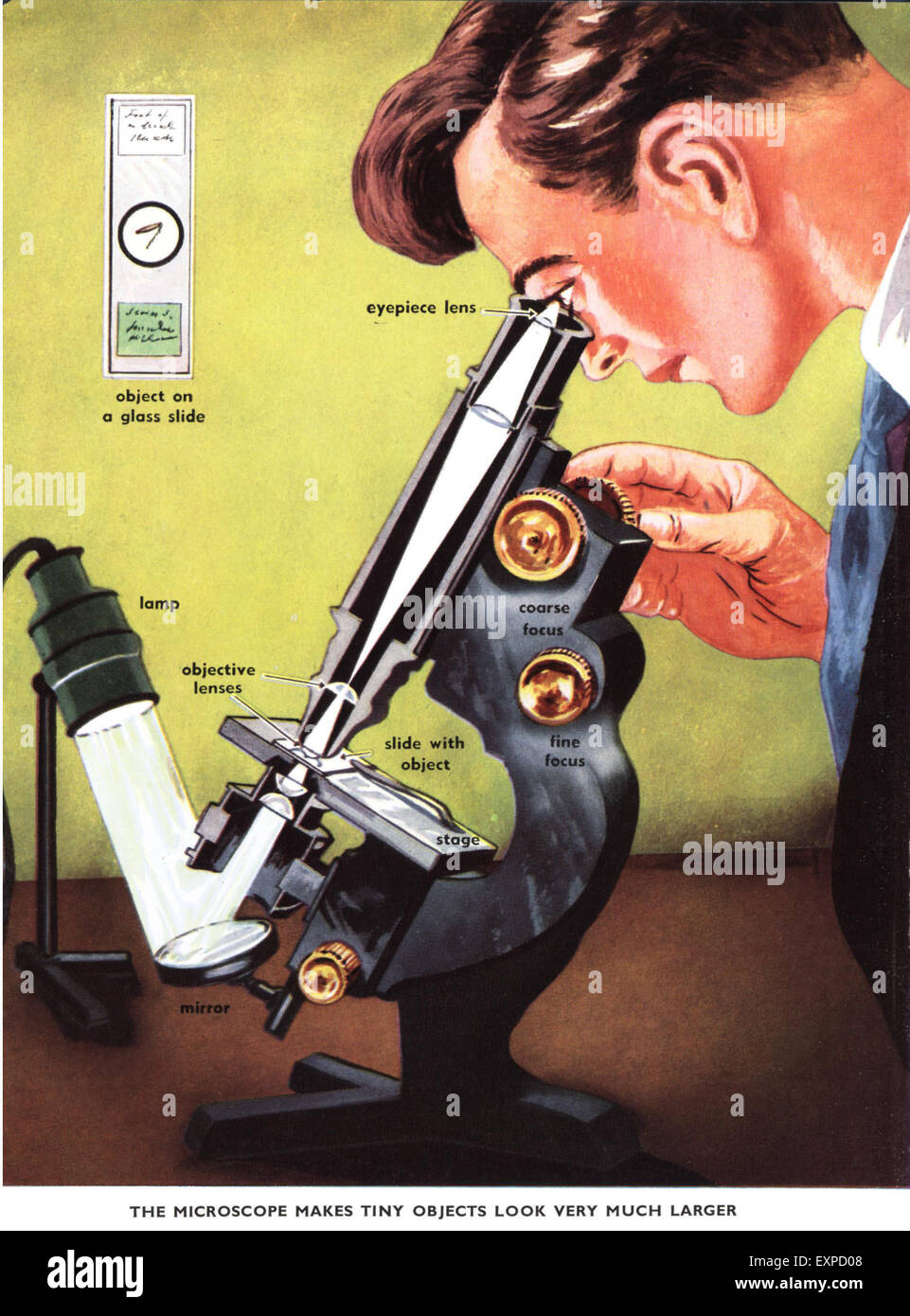 1950s UK Microscope Explained Magazine Plate Stock Photo - Alamy