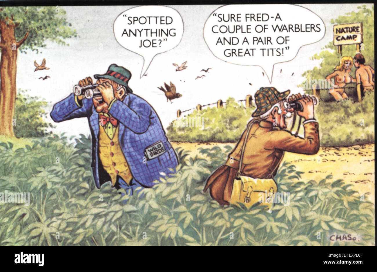 1980s UK Saucy Birdwatching Humour Postcard Stock Photo - Alamy