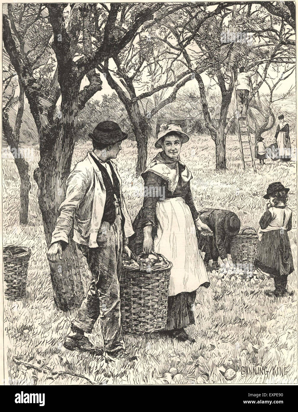 1900s UK Harvesting Magazine Plate Stock Photo - Alamy