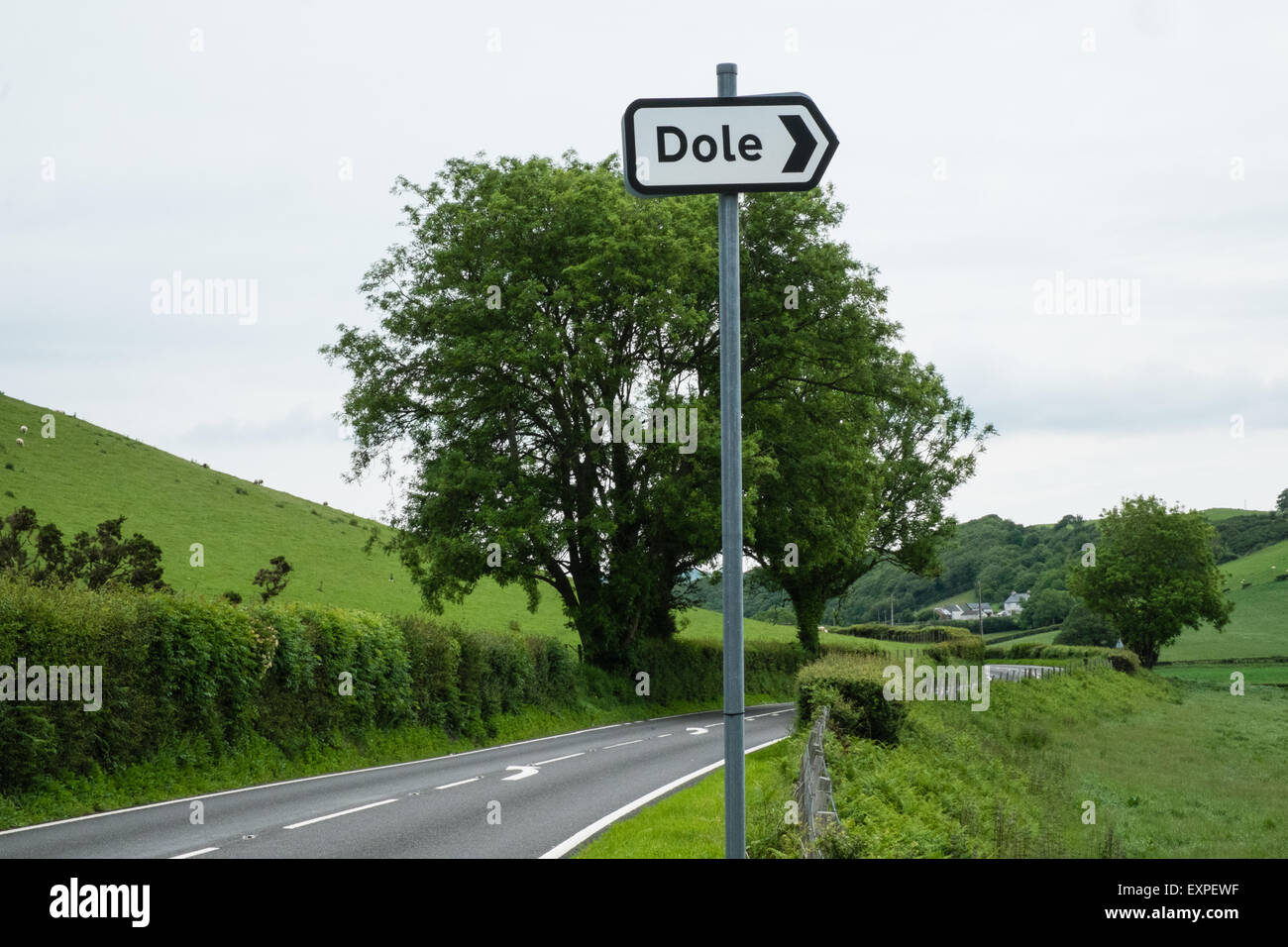 Dole logo hi-res stock photography and images - Alamy