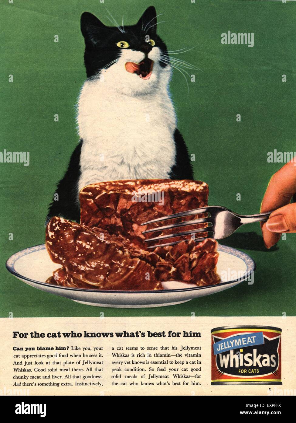 1970s UK Whiskas Magazine Advert Stock Photo - Alamy