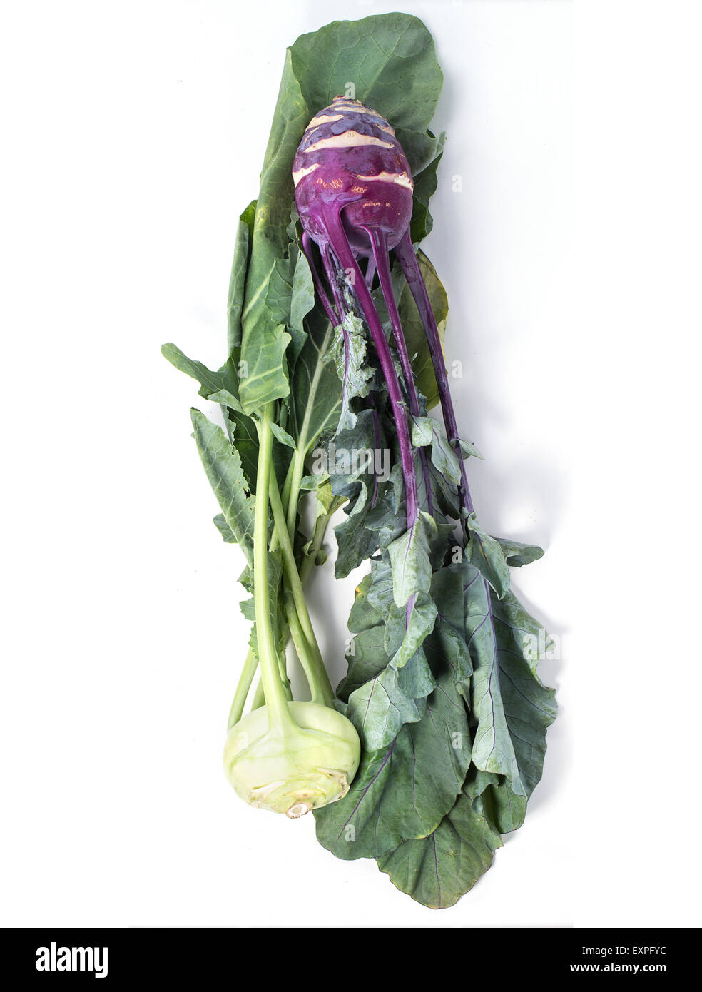 Green and purple kohlrabi Stock Photo - Alamy