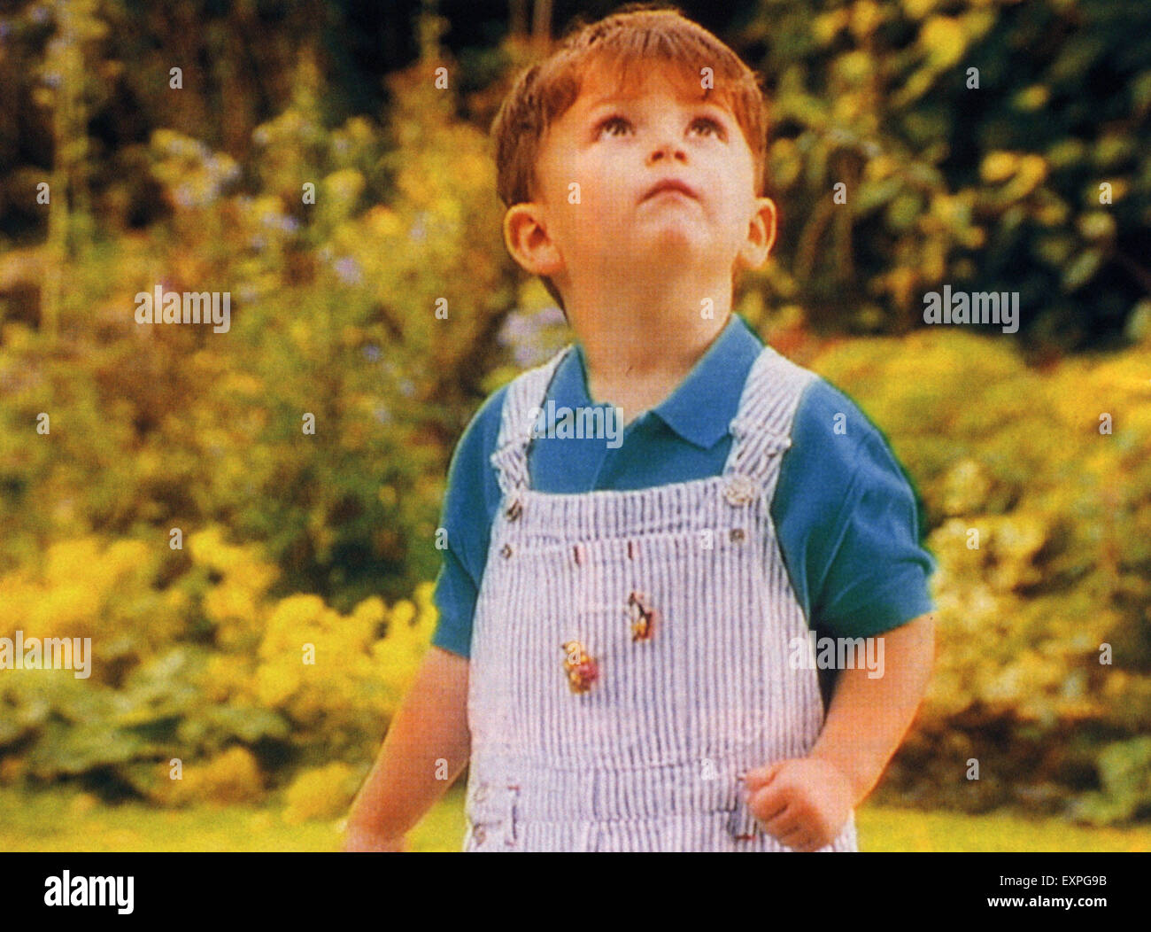 1990s UK Safeway Magazine Advert Stock Photo - Alamy