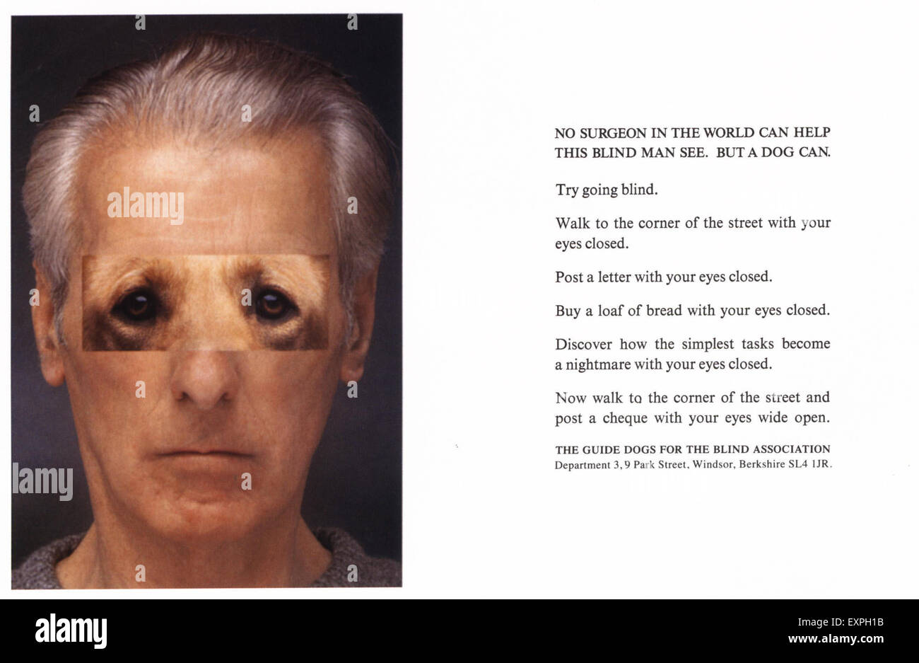 1980s UK RNIB Magazine Advert Stock Photo - Alamy