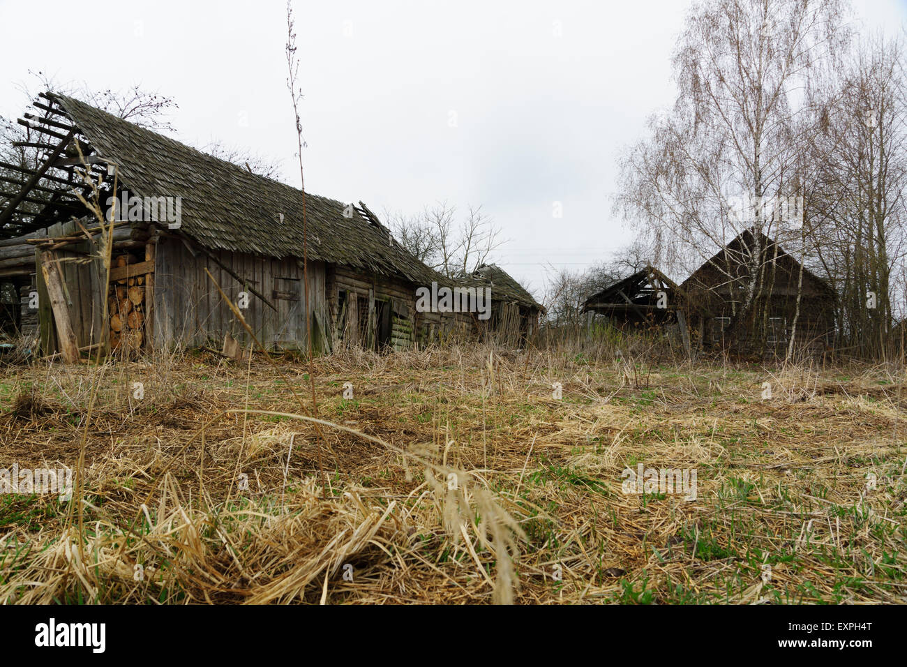 the old overgrown house constructed of logs in the lonely village Stock ...