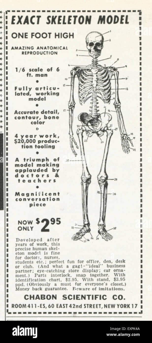 1950s USA Skeleton Magazine Advert Stock Photo - Alamy