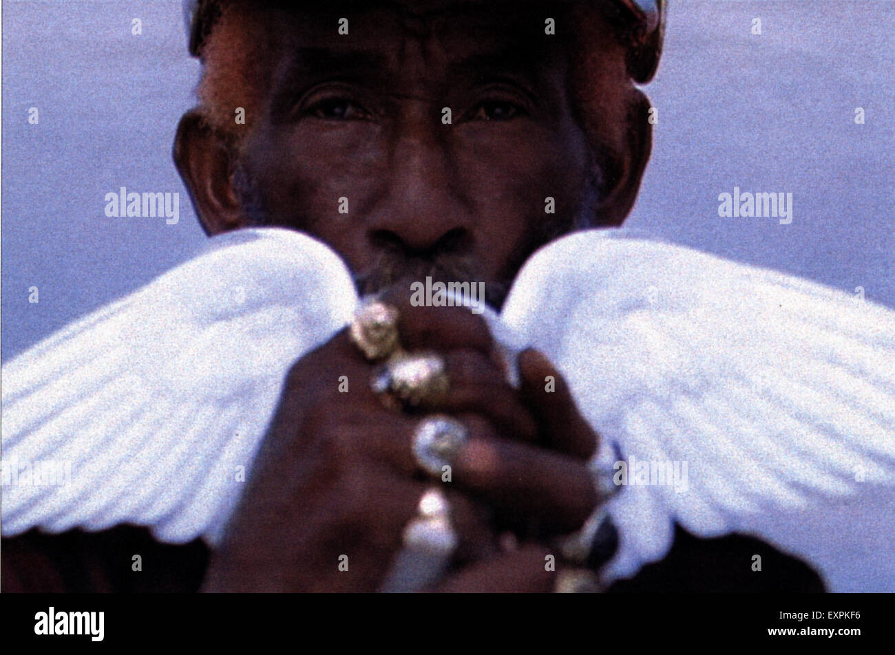 2000s UK Guinness TV Advert (Grab Stock Photo - Alamy