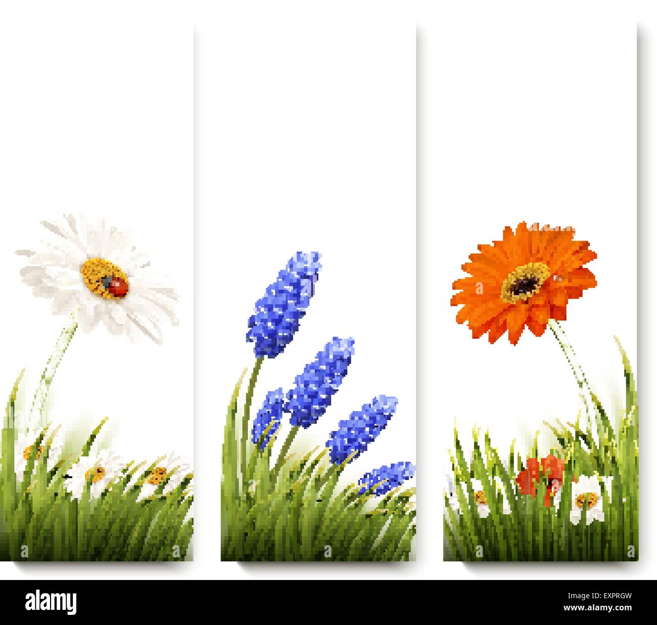 Three flower banners. Vector Stock Vector Image & Art - Alamy