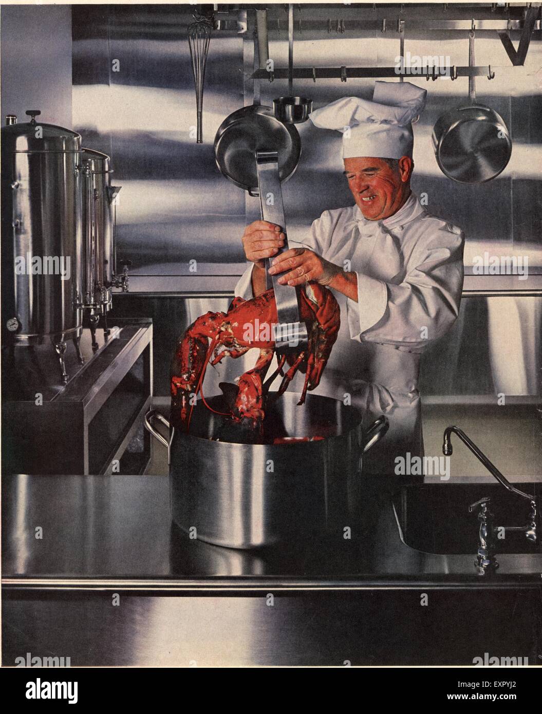 1950s USA Chefs Lobsters Magazine Plate Stock Photo - Alamy