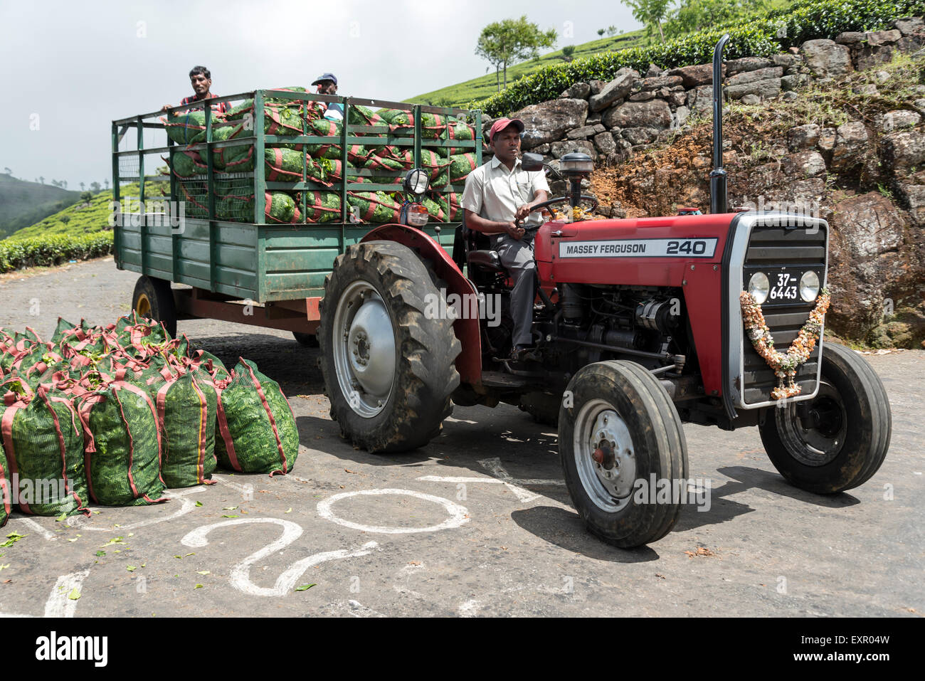 Tea estate tractor hi-res stock photography and images - Alamy