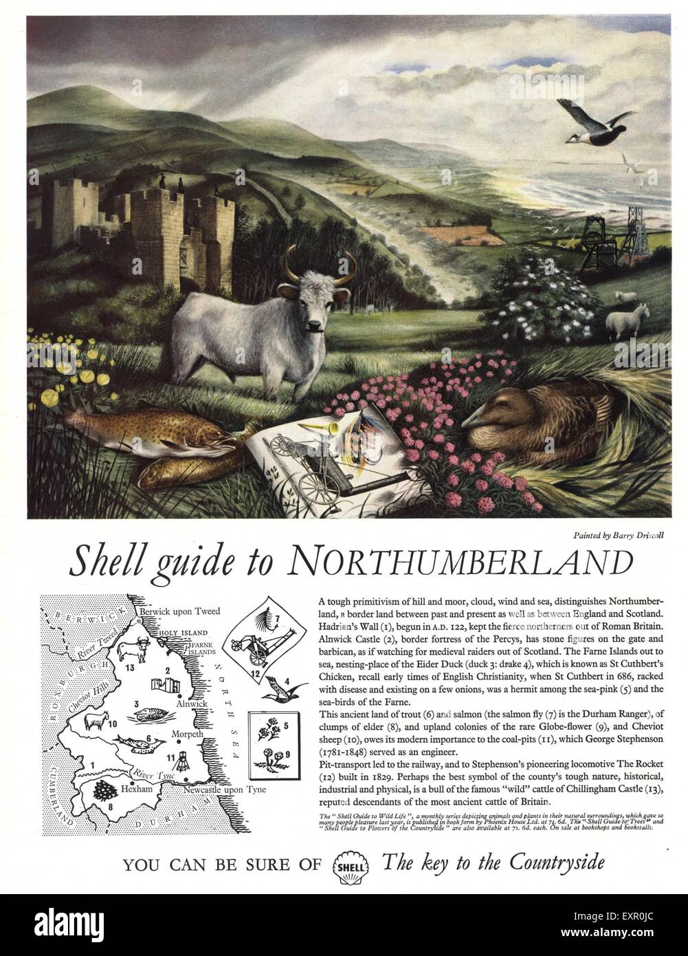 1950s UK Shell Magazine Advert Stock Photo - Alamy