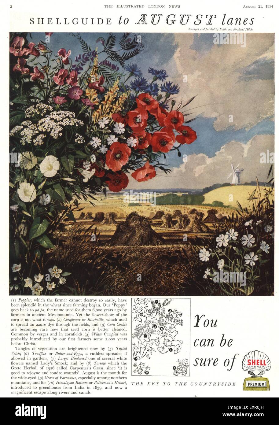 1950s UK Shell Magazine Advert Stock Photo - Alamy