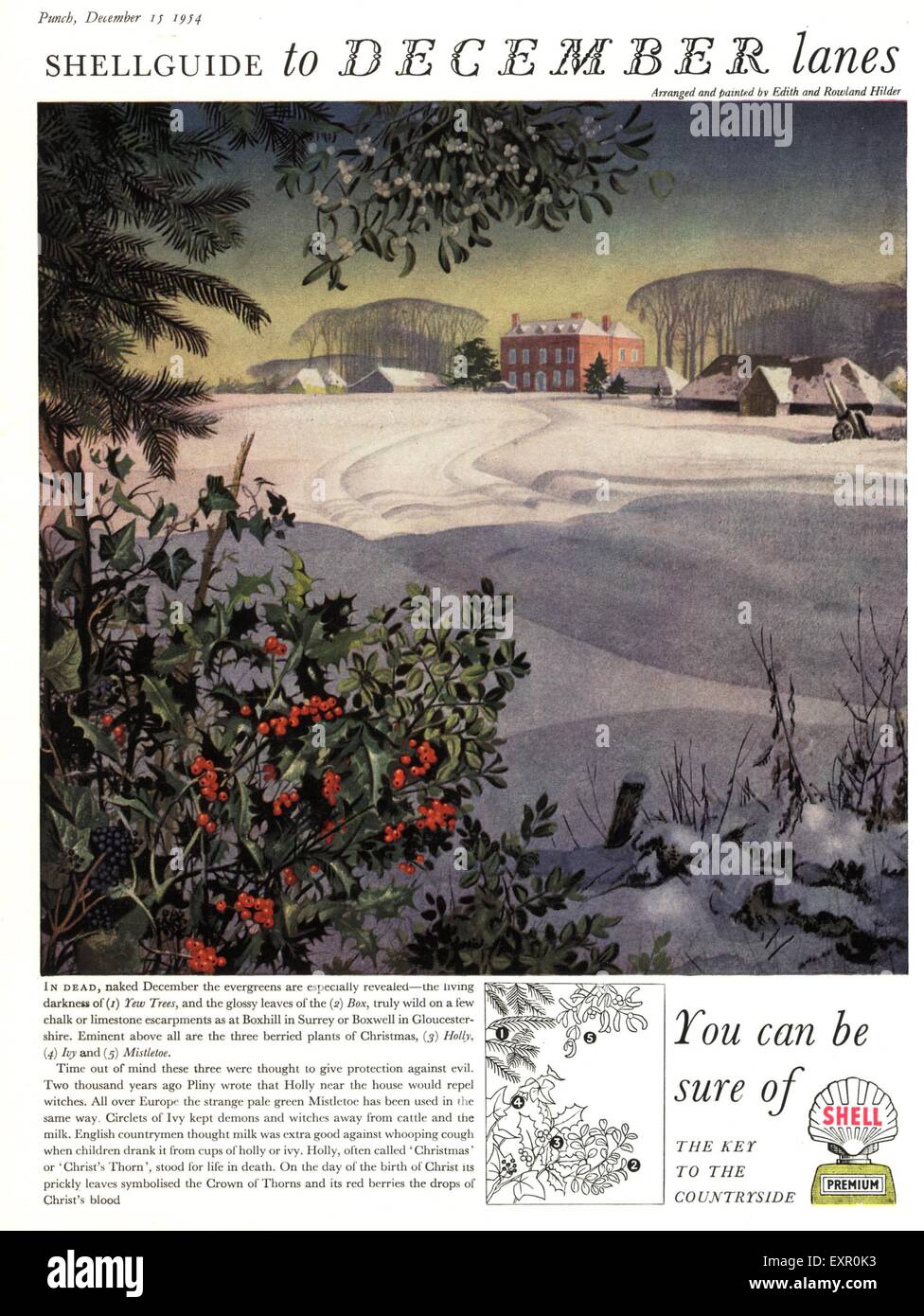 1950s UK Shell Magazine Advert Stock Photo - Alamy