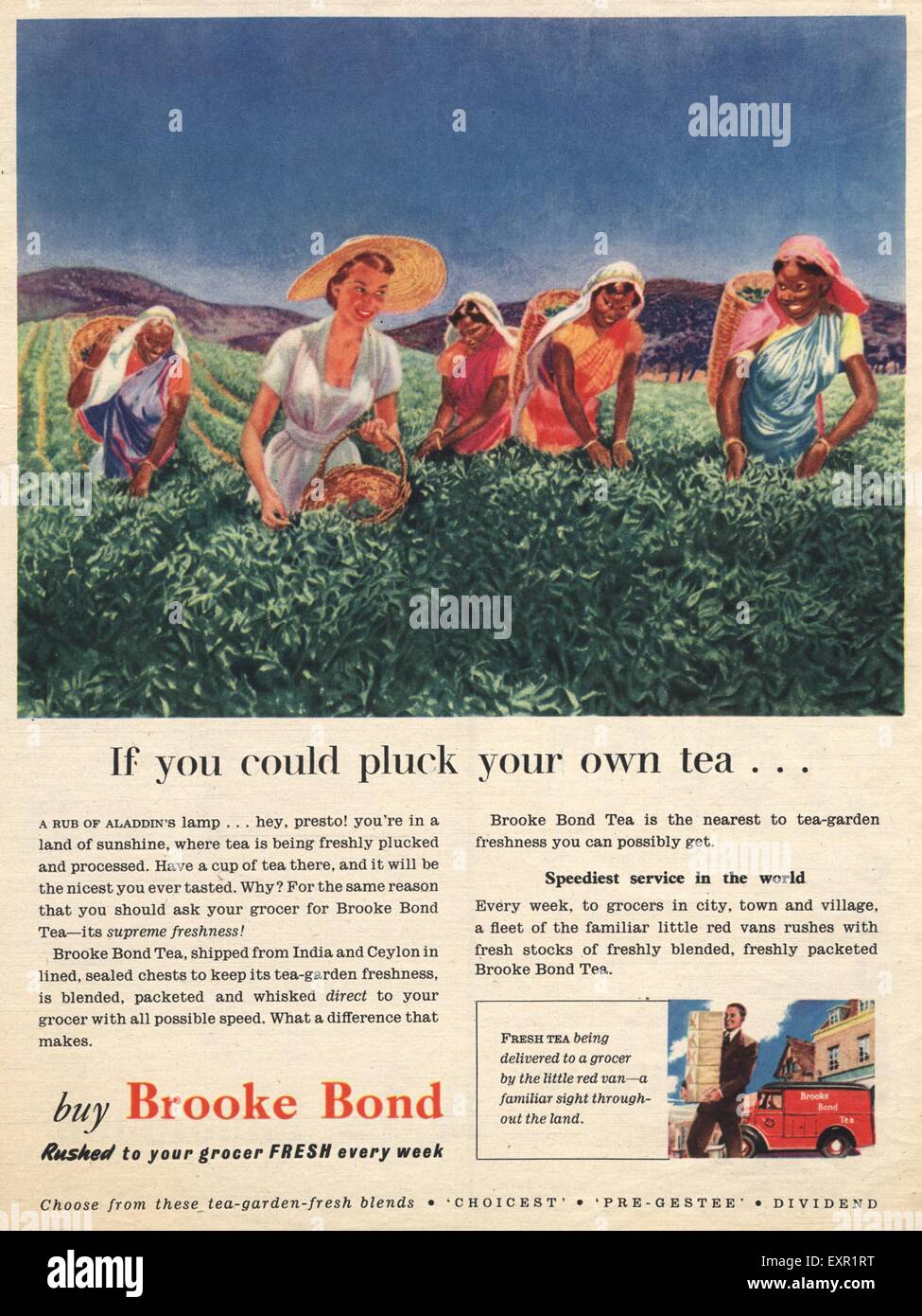 1950s UK Brooke Bond Tea Magazine Advert Stock Photo - Alamy