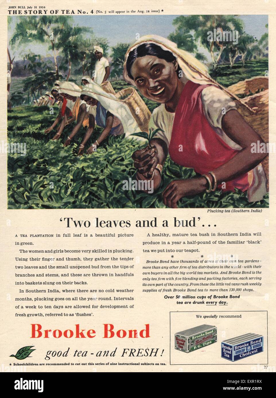 Brooke bond 1950s hi-res stock photography and images - Alamy