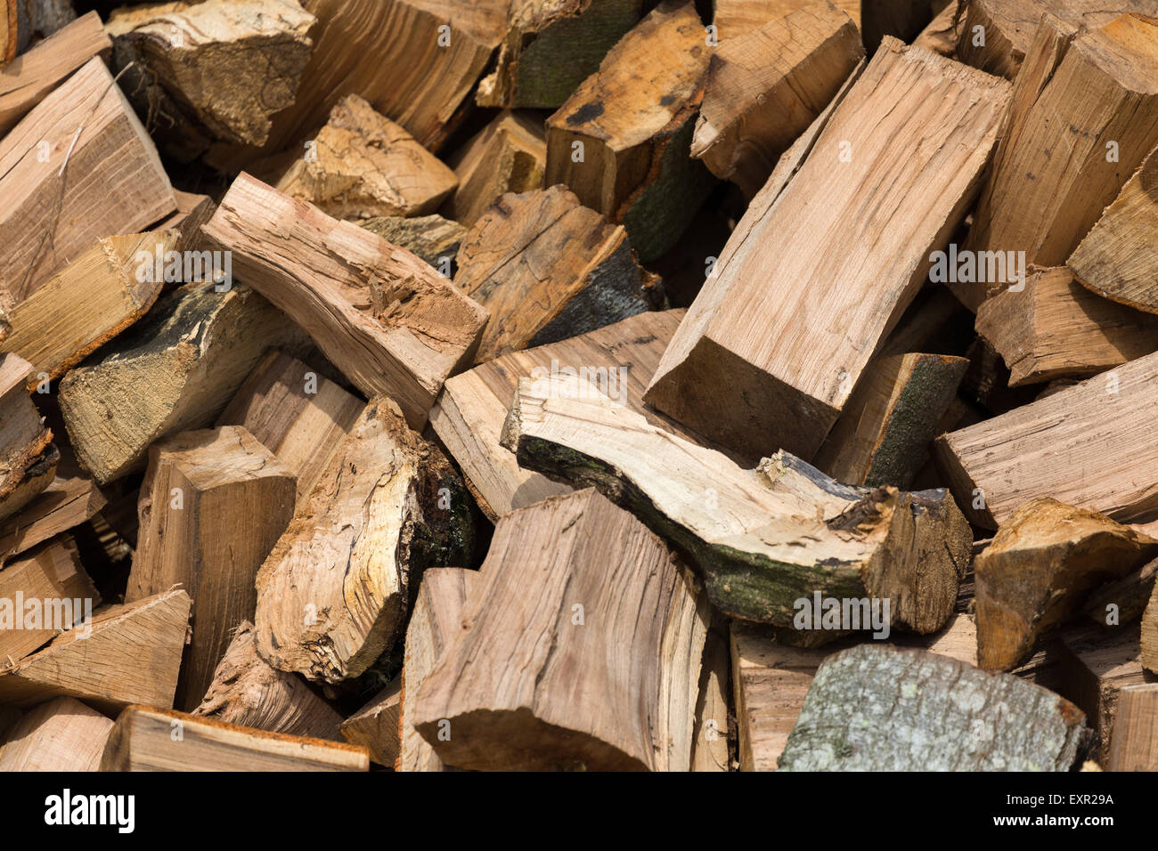 Felled cut wood timber Stock Photo - Alamy